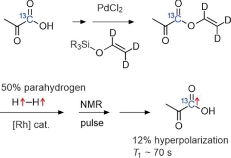 Synthesis Of 13c And 2h Labeled Vinyl Pyruvate And Hyperpolarization Of Pyruvate Brahms 2022