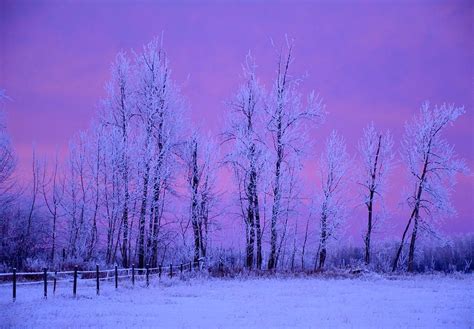 Purple Winter Sky By Linda Rich Winter Sky Winter Background Pink
