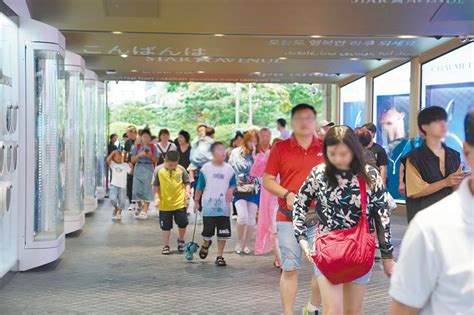 “遊客時隔6年回歸”，樂天免稅店自薩德事件後首次接待中國團體遊客 東亞日報