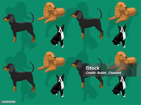 쿤하운드 워터 스패니얼 보스턴 테리어 만화 캐릭터 원활한 배경 화면 세트 개에 대한 스톡 벡터 아트 및 기타 이미지 개