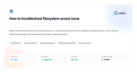 how to troubleshoot filesystem access issue labex