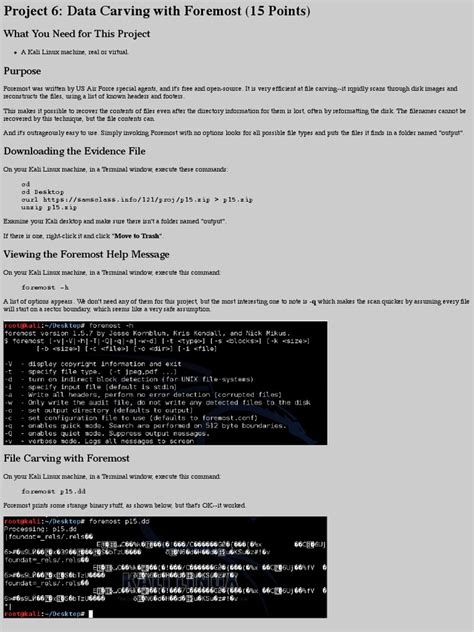lab 6 data carving with foremost 15 points pdf computer file