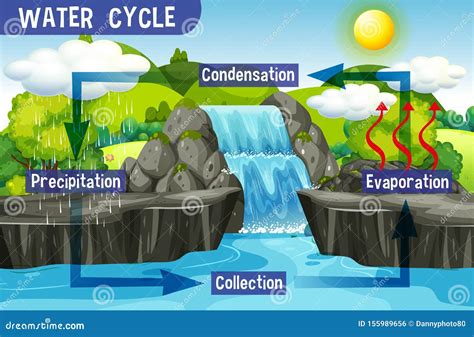 Water Cycle Vector Illustration Labeled Earth Hydrologic Process