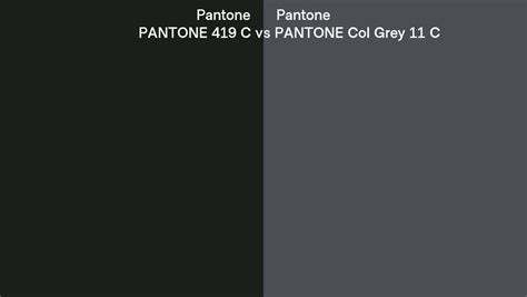Pantone 419 C Vs Pantone Col Grey 11 C Side By Side Comparison