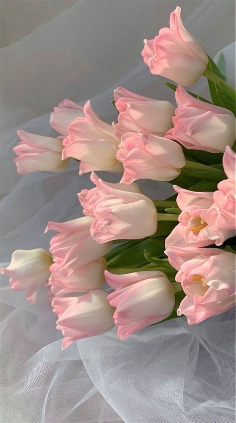 Pin By Nour Zrk On نور Flower Therapy Flower Aesthetic Pink Flowers