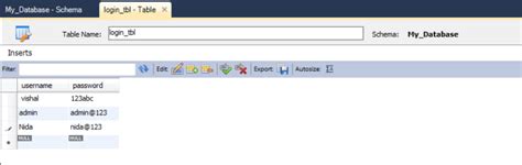 Login And Logout In Visual Basic Vb Net Windows Application Codebun