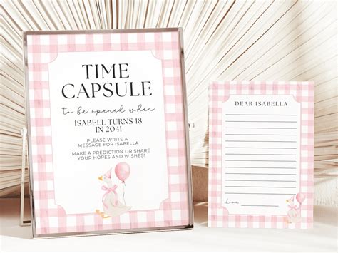 One Silly Goose Time Capsule Goose 1st Birthday Time Capsule Sign
