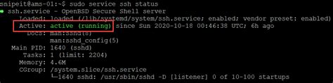 Snipe It Installation On Ubuntu Server Mmdm
