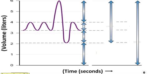Spirogram Diagram Quizlet