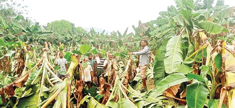 బాలాజీ దేవస్థానం టీటీడీలో విలీనం Balaji Devasthanam Merged With Ttd