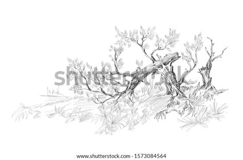 Broken Tree Illustration Royalty Free Images Stock Photos Pictures Shutterstock