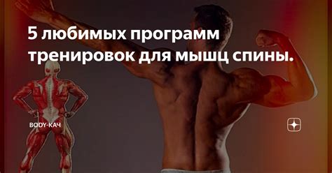 5 любимых программ тренировок для мышц спины Body кач Дзен