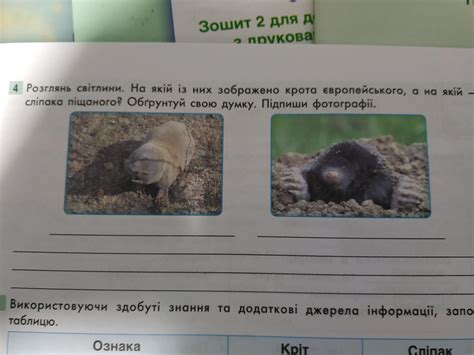 Допоможіть будь ласка це завдання Школьные Знания Com