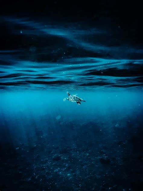 Implement Complete Lgtm Monitoring Stack From Scratch By Dikshant Rai