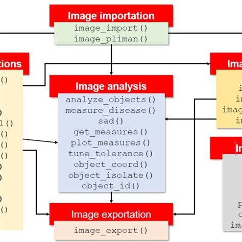 Key Features Available In Pliman Version 100 For Plant Image Download Scientific Diagram