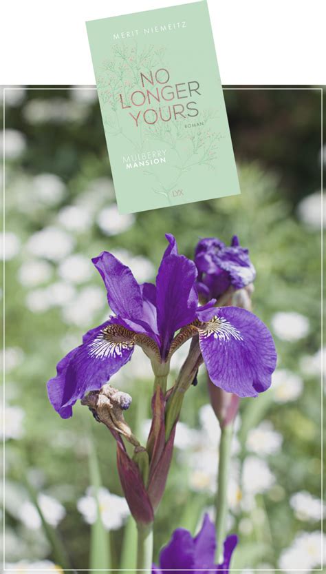 Leseliebe No Longer Yours Von Merit Niemeitz Glimrende