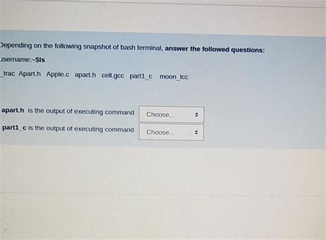 Solved Depending On The Following Snapshot Of Bash Terminal