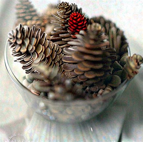 Regularization By Texts For Latent Inverse Solvers