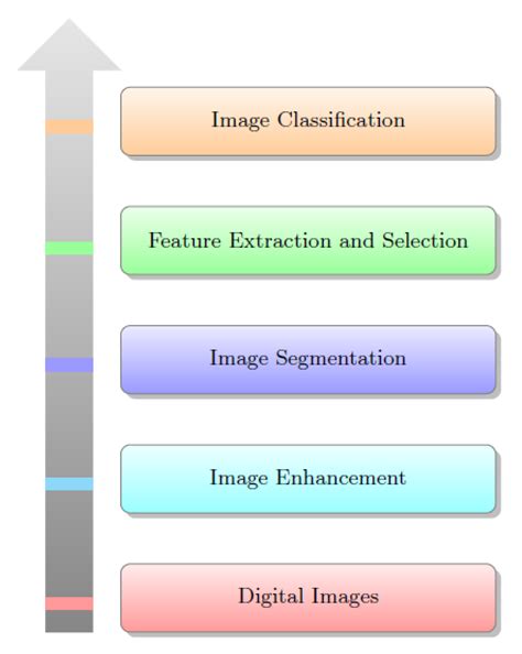 an efficient segmentation and classification system in medical images