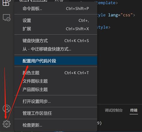 Vue3 04 Vscode代码块 Leoshi2020 博客园