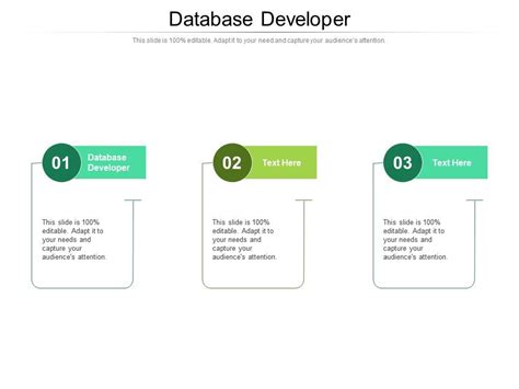 Database Developer Ppt Powerpoint Presentation Layouts Professional Cpb Presentation Graphics