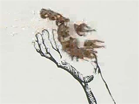 Amir Farshad Ebrahimi Videos Dailymotion