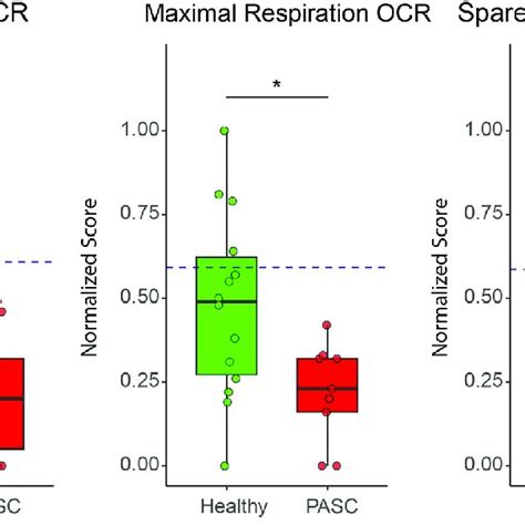 Normalized Respirometry Data Showing The Oxygen Consumption Rate And