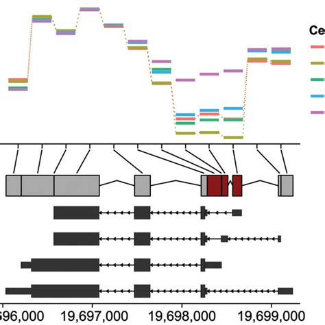 Visualization Along Genomic Coordinates With Ggbio The Plot Shows The Download Scientific