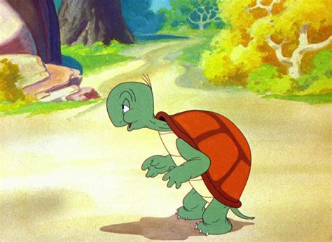 Turtle Meme Templates Imgflip