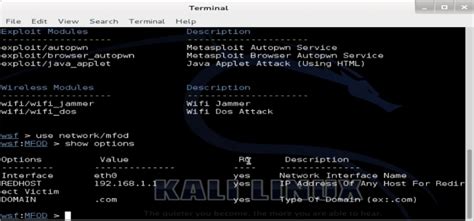 tutorial websploit para kali linux redireccionar un dominio a una ip