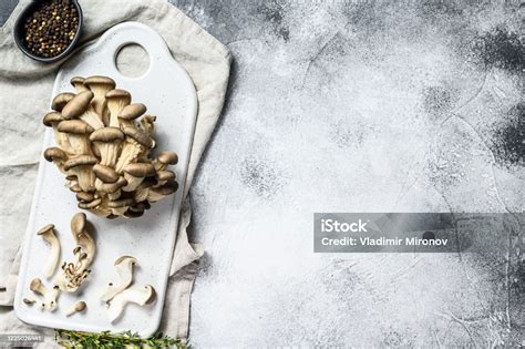 백리향을 곁들인 하얀 도마 위에 신선한 굴 버섯 회색 배경입니다 맨 위 보기 텍스트를 위한 공간 0명에 대한 스톡 사진 및 기타 이미지 Istock