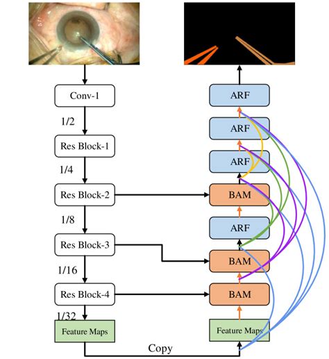 Barnet Bilinear Attention Network With Adaptive Receptive Field For