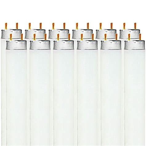 T8 Fluorescent Light Bulbs