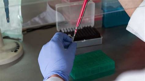 Laemmli Sample Buffer Recipe The Ultimate Guide To Preparing A