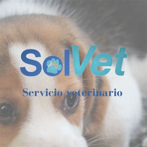 Sol Vet