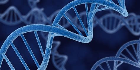 Hands Off Assessing Aquatic Ecosystems With Edna Hdr