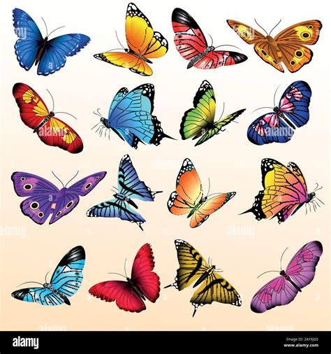 Colorful Realistic Butterflies Big Vector Set Butterfly With Color