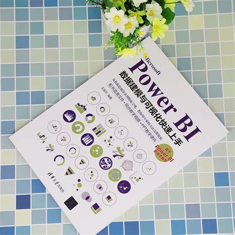 Microsoft Power Bi数据建模与可视化快速上手 Online Marketplace Everymarket