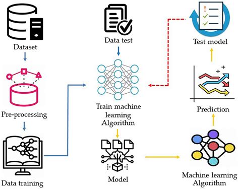 Muhammad Usman Aslam On Linkedin Machinelearning Decisiontrees Predictions Datascience