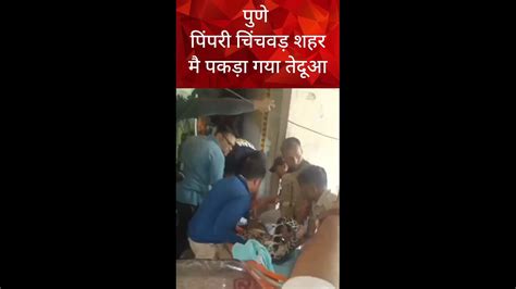 Sarika S Steamiest Moments In Ullu Web Series Revealed Hottest Romance Scenes Sarika