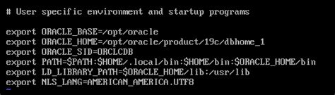 centos 安装Oracle c数据库 rpm方式 魔幻小生 博客园
