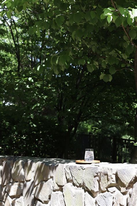 짙어지는 녹음과 그림자