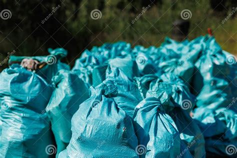 A Tall Stack Of Blue Garbage Bags Is Carefully Piled Together Stock