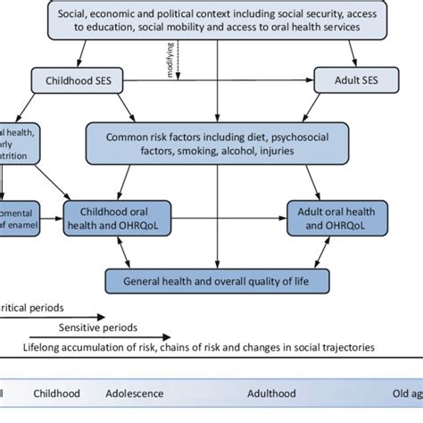 8 A Life Course Framework For Oral Health Download Scientific Diagram