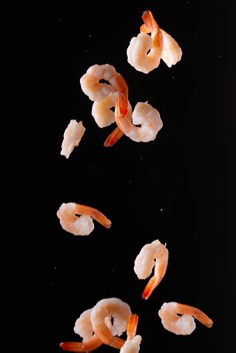 검은 배경에 떨어지는 새우 클로즈업 해산물 건강에 좋은 음식 요리 배경 굽기에 대한 스톡 사진 및 기타 이미지 굽기 끓는 물에 삶기 떨어짐 Istock