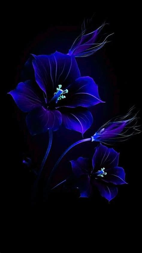 Pin By Marrie Kleine On Leuke Plaatjes In 2024 Beautiful Wallpapers