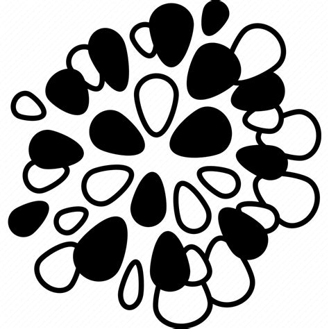 Neuroectoderm Cells Nervous Embryo Development Icon Download On