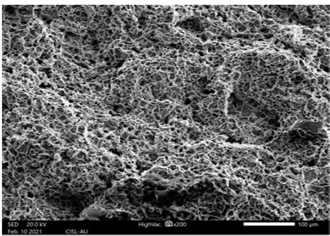 Fracture Surfaces Of Bm And Wm Tensile Specimens Download Scientific