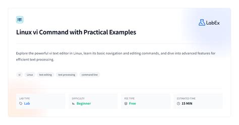 linux vi command with practical examples labex