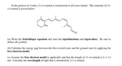 Solved In The Process Of Vision 11 Cis Retinal Is